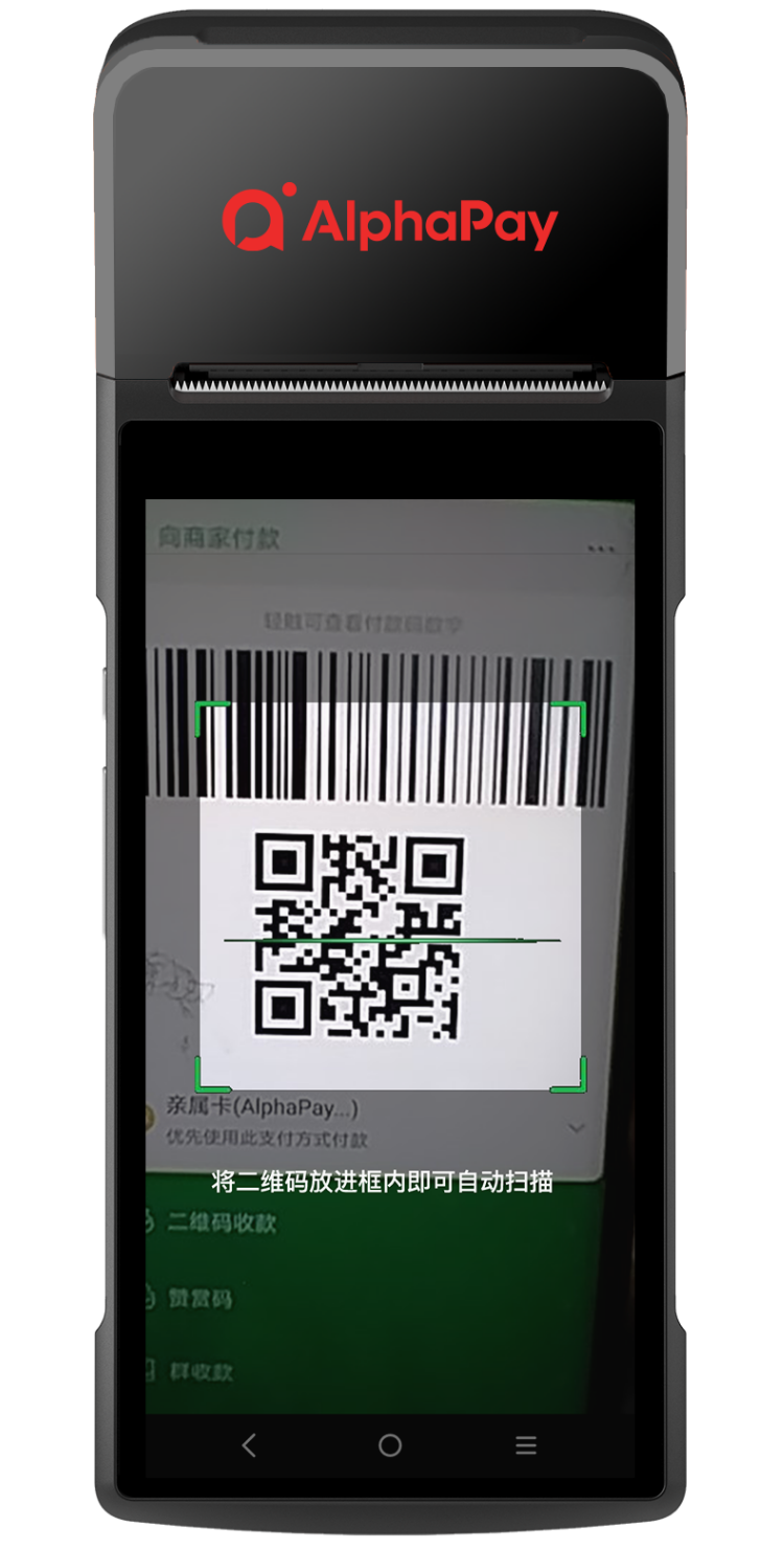 In-store Payments - AlphaPay