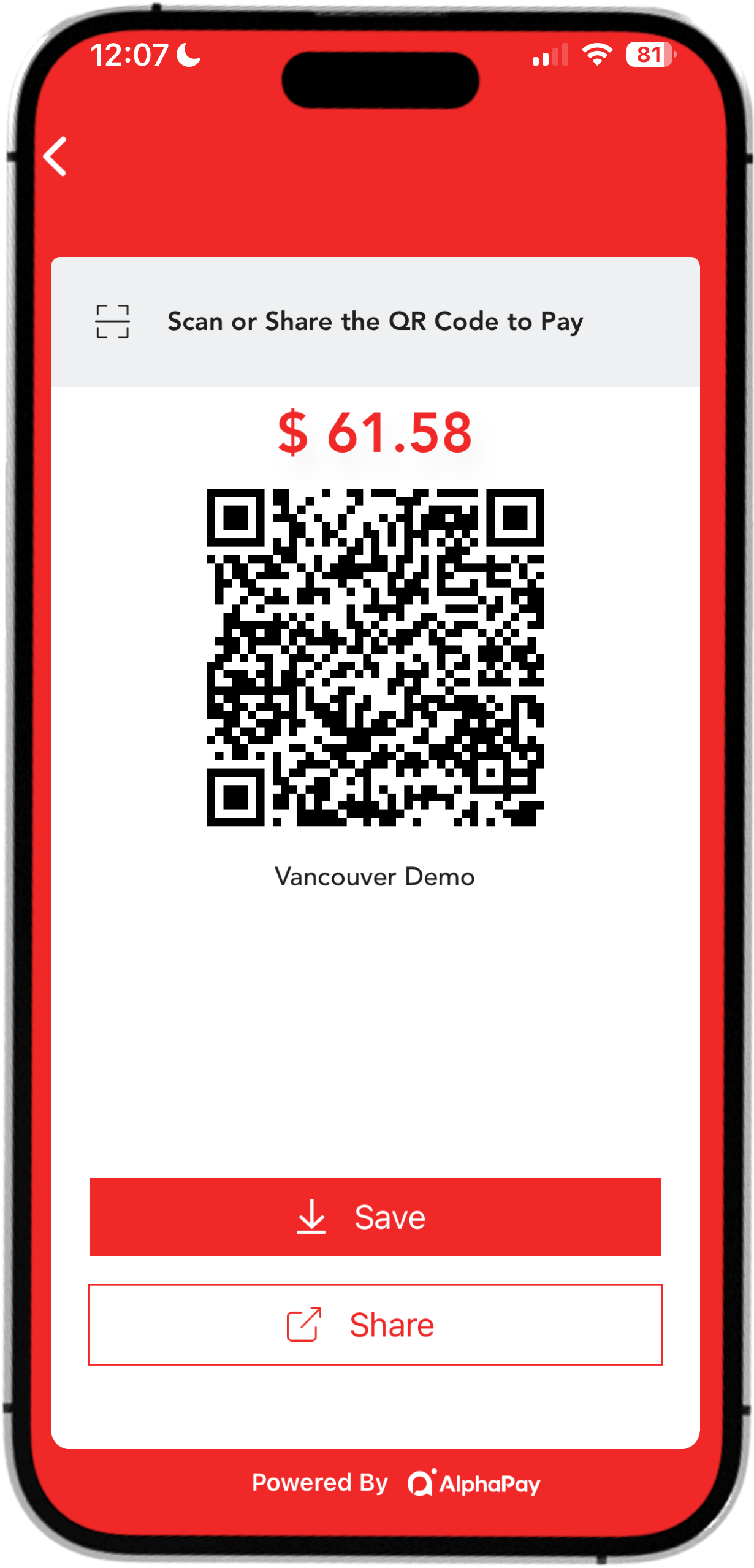 Invoice Payments - AlphaPay