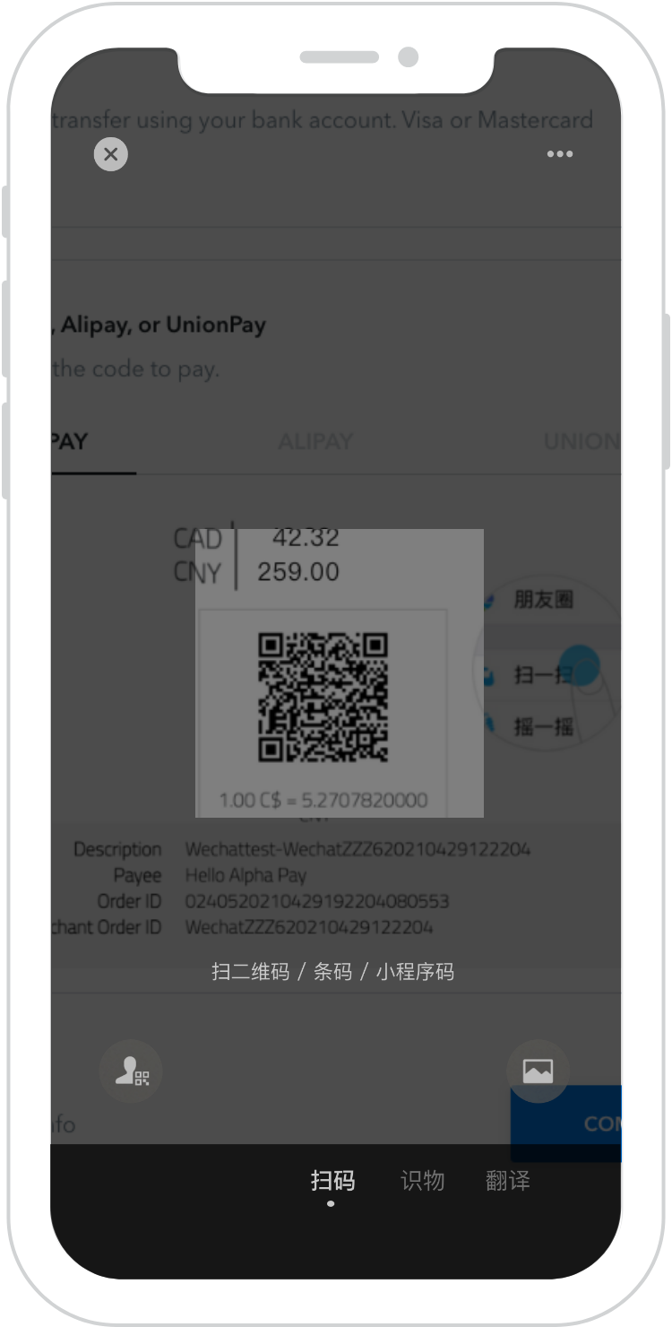 Online Payments - AlphaPay